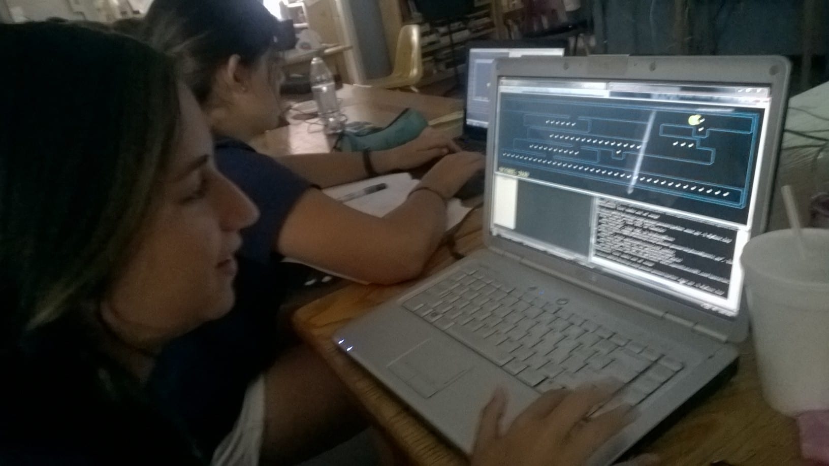 Teaching and Outreach – Dr. Sofia Z. Sheikh