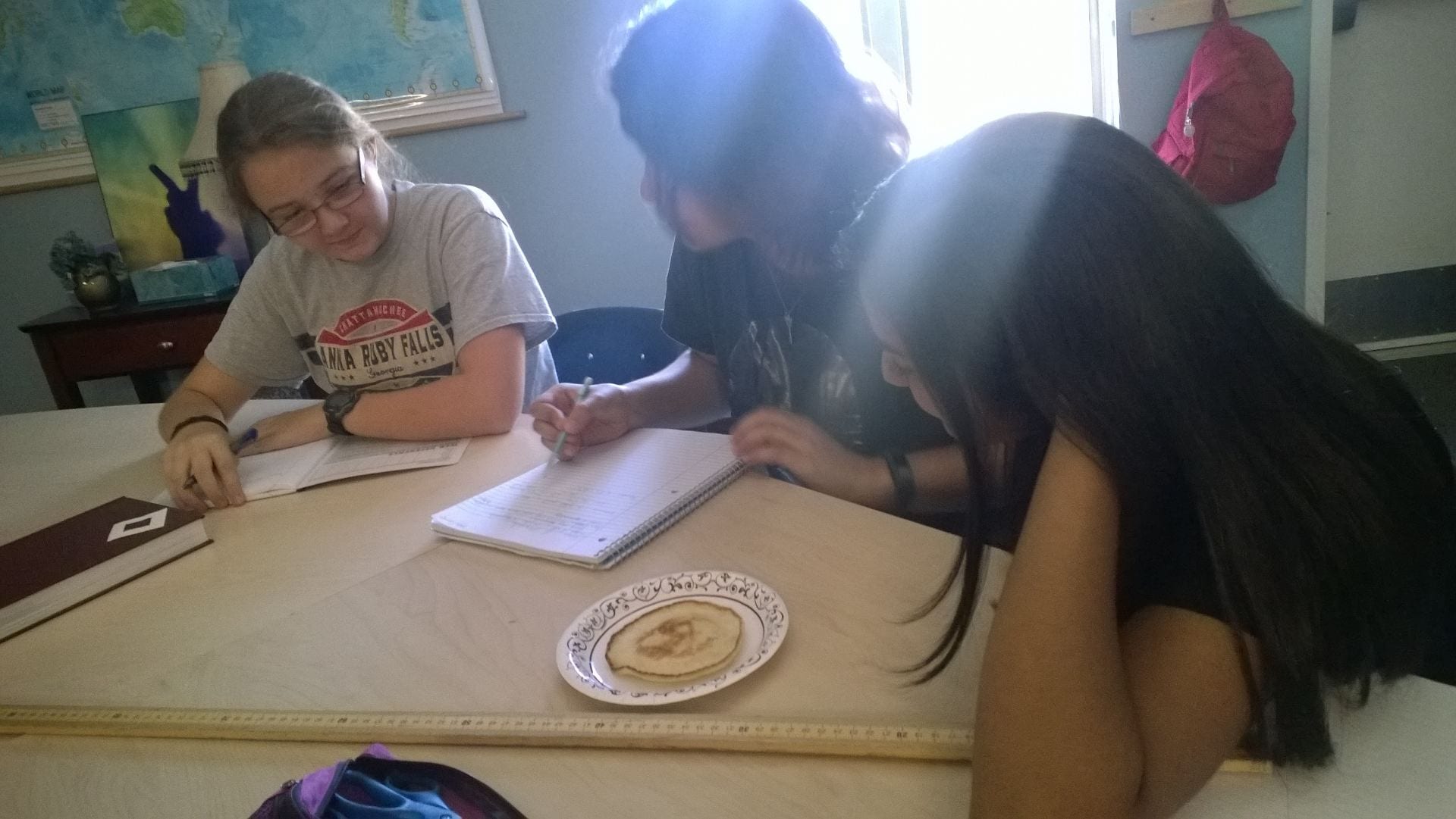 Teaching and Outreach – Dr. Sofia Z. Sheikh